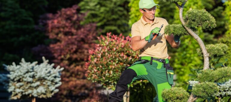 Maintaining Pristine Community Spaces: The Role of HOA Groundskeeping Services | Legacy Services